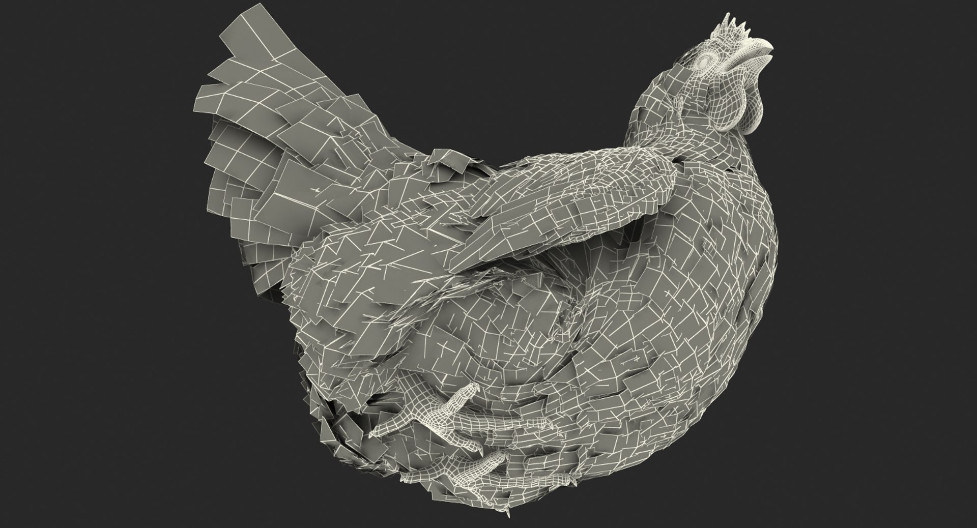 3D White Chicken Sitting Pose Model - TurboSquid 1158193