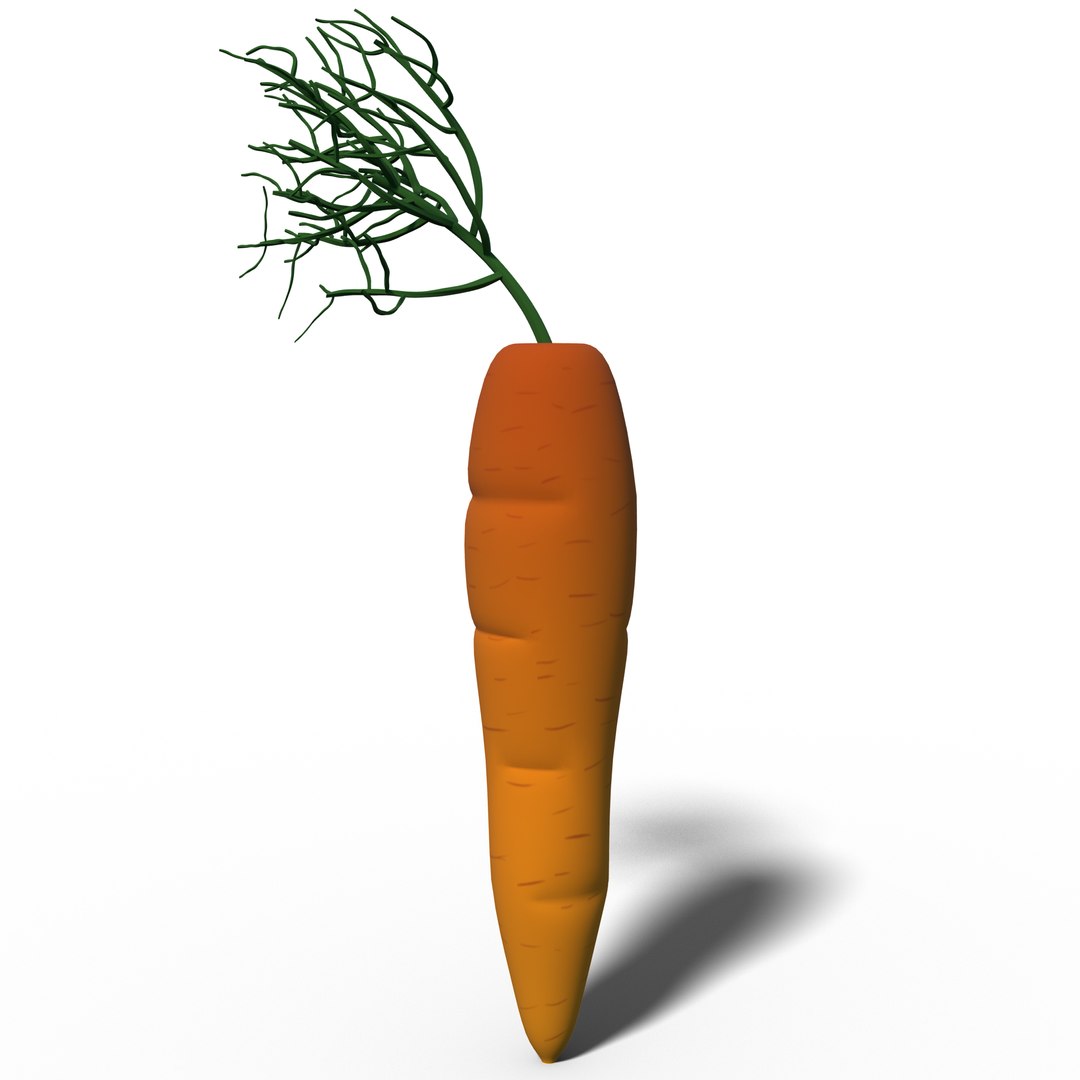 Carrot 3D Model - TurboSquid 2060552