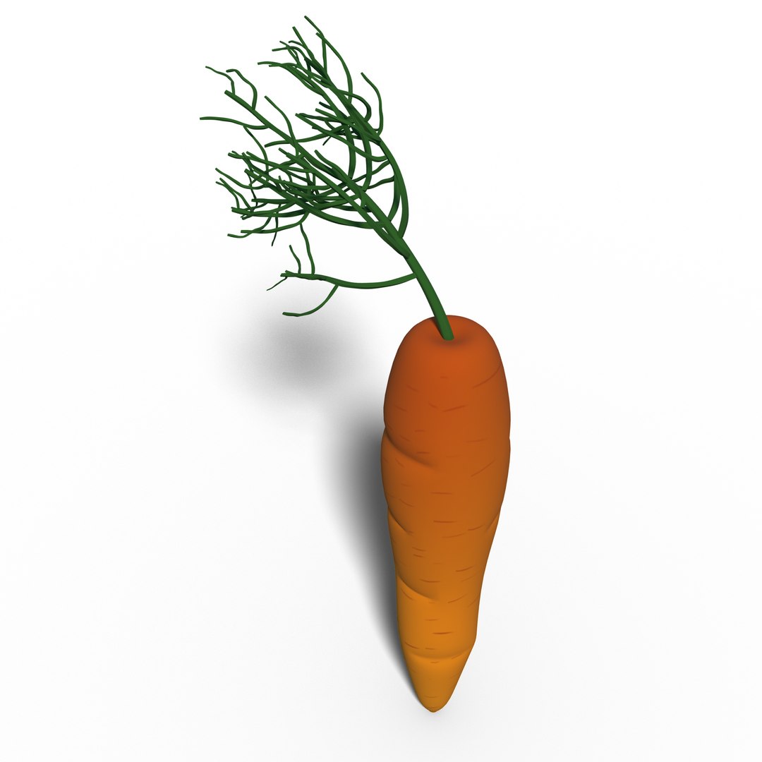 Carrot 3D Model - TurboSquid 2060552