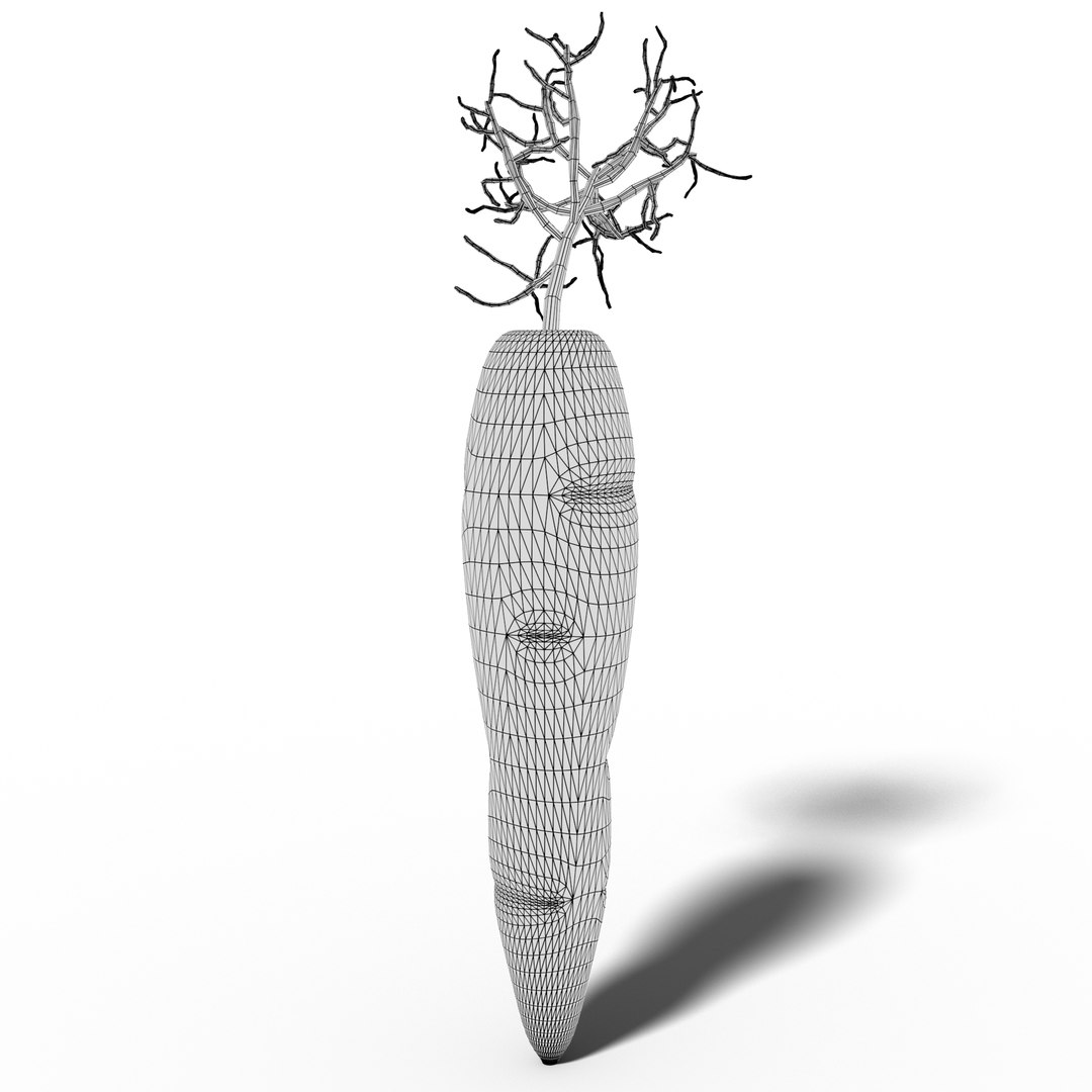 Carrot 3D Model - TurboSquid 2060552