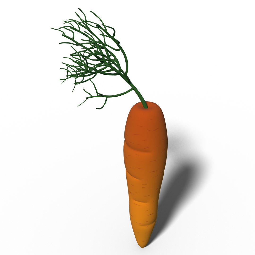 Carrot 3D Model - TurboSquid 2060552