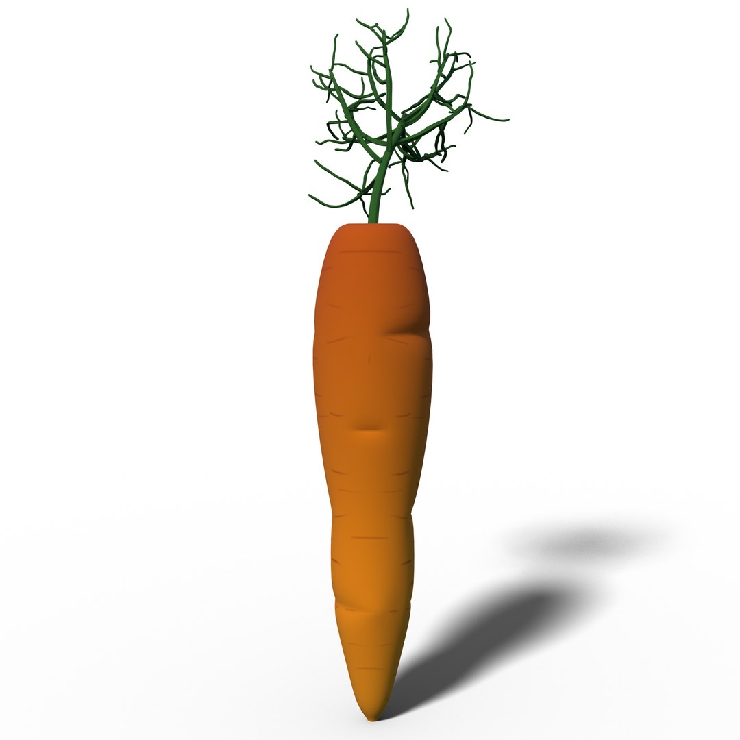 Carrot 3D model - TurboSquid 2060552