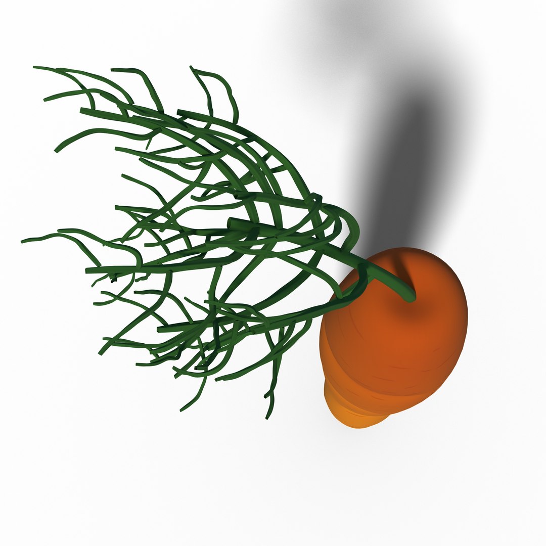 Carrot 3D Model - TurboSquid 2060552