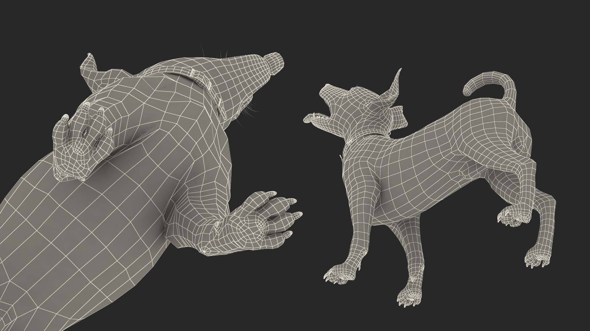 3D white jack russell terrier - TurboSquid 1456866