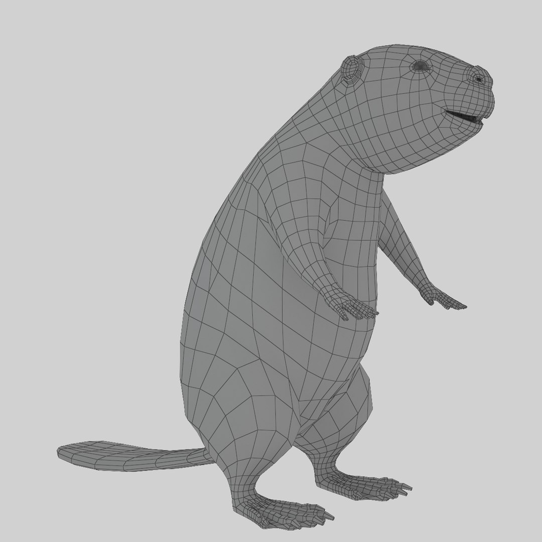 3d Model Beaver