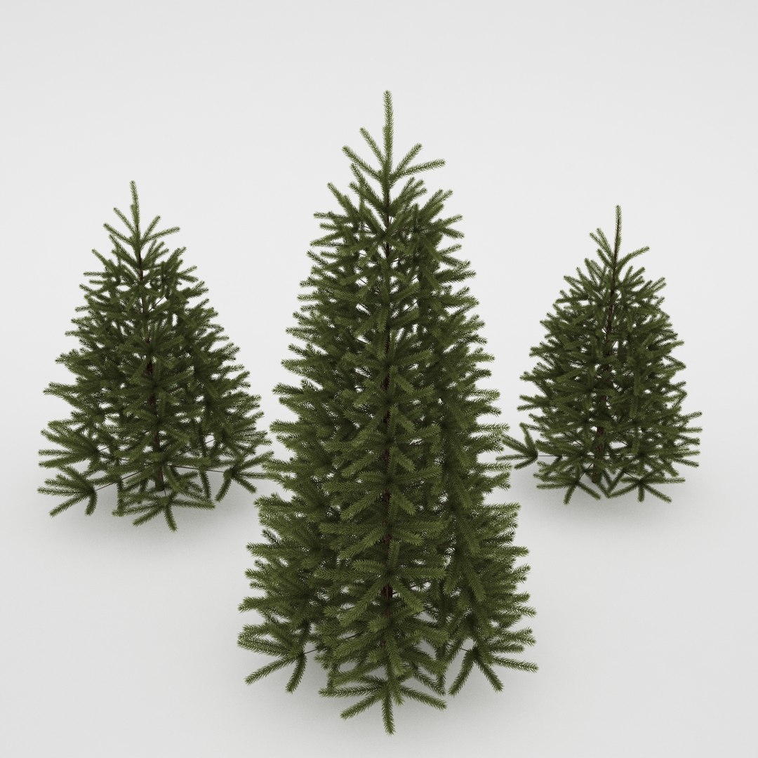photorealistic fir-tree 3d max