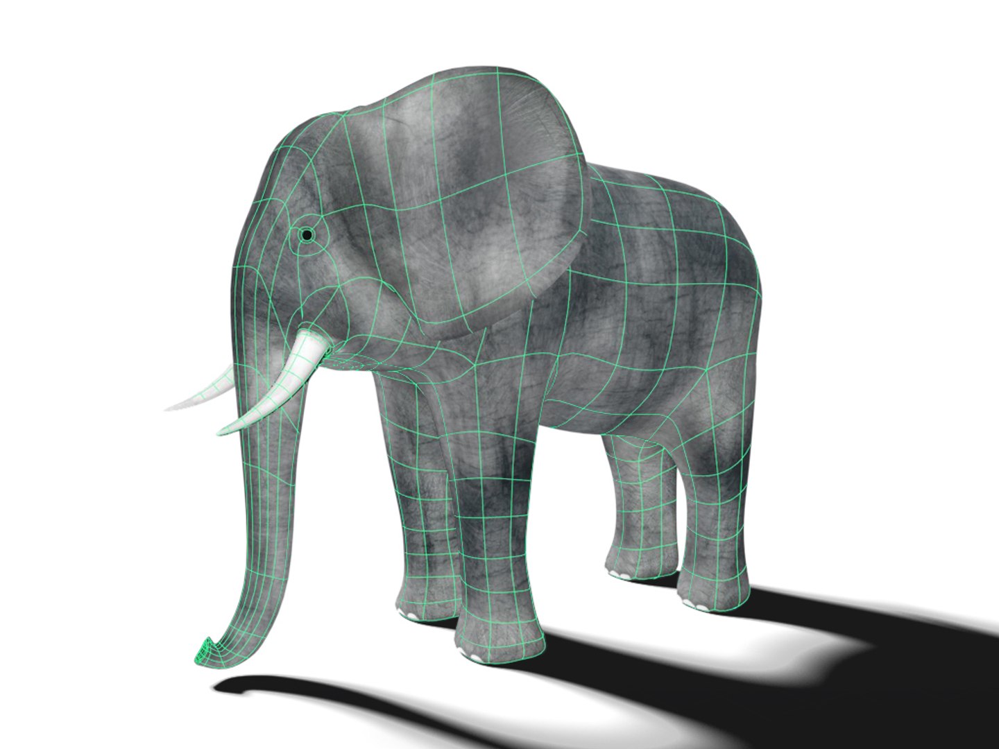 Elephant Mini 3D - TurboSquid 1395056