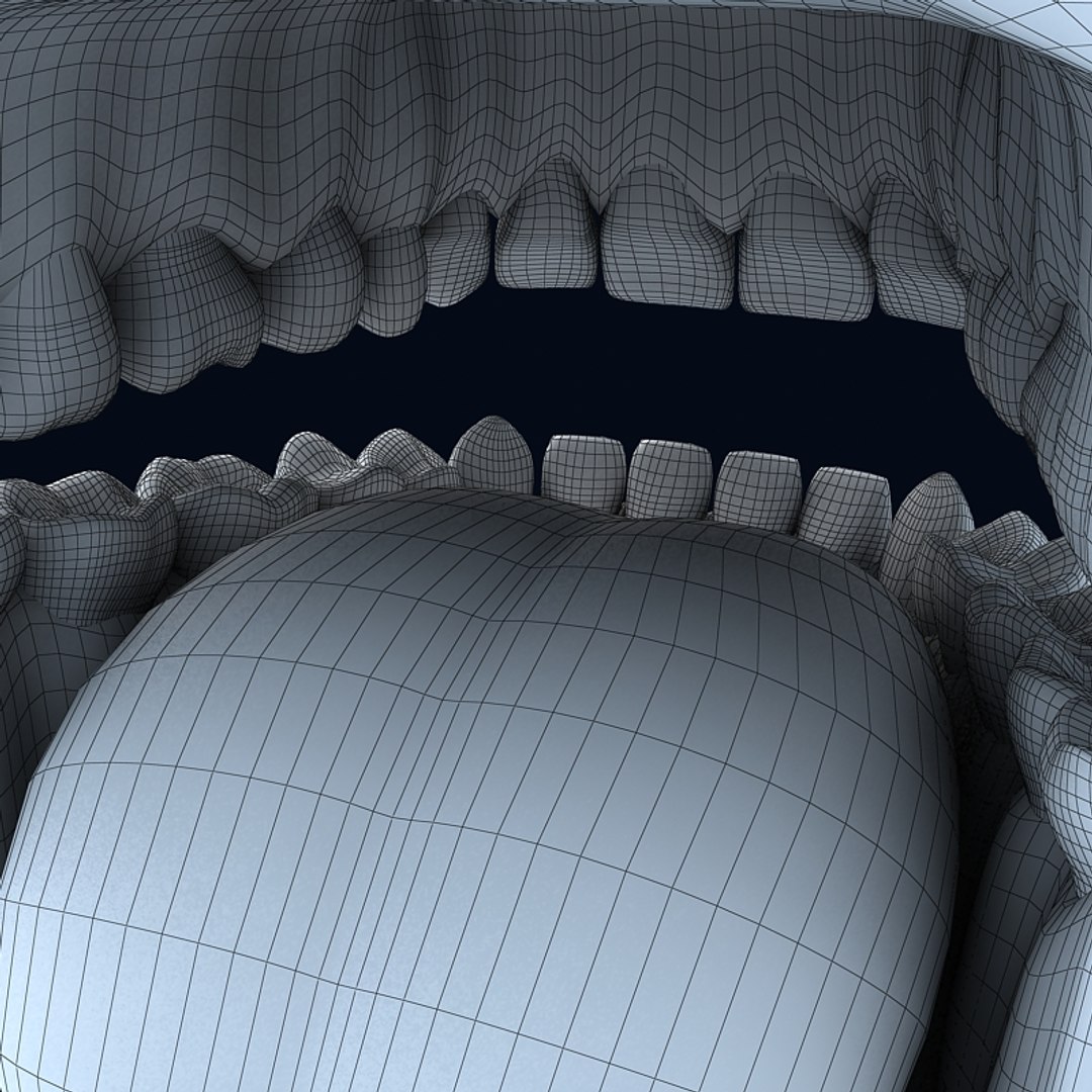 teeth s 3d model