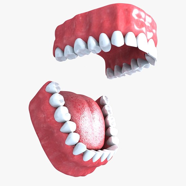 3D Dentures Models | TurboSquid