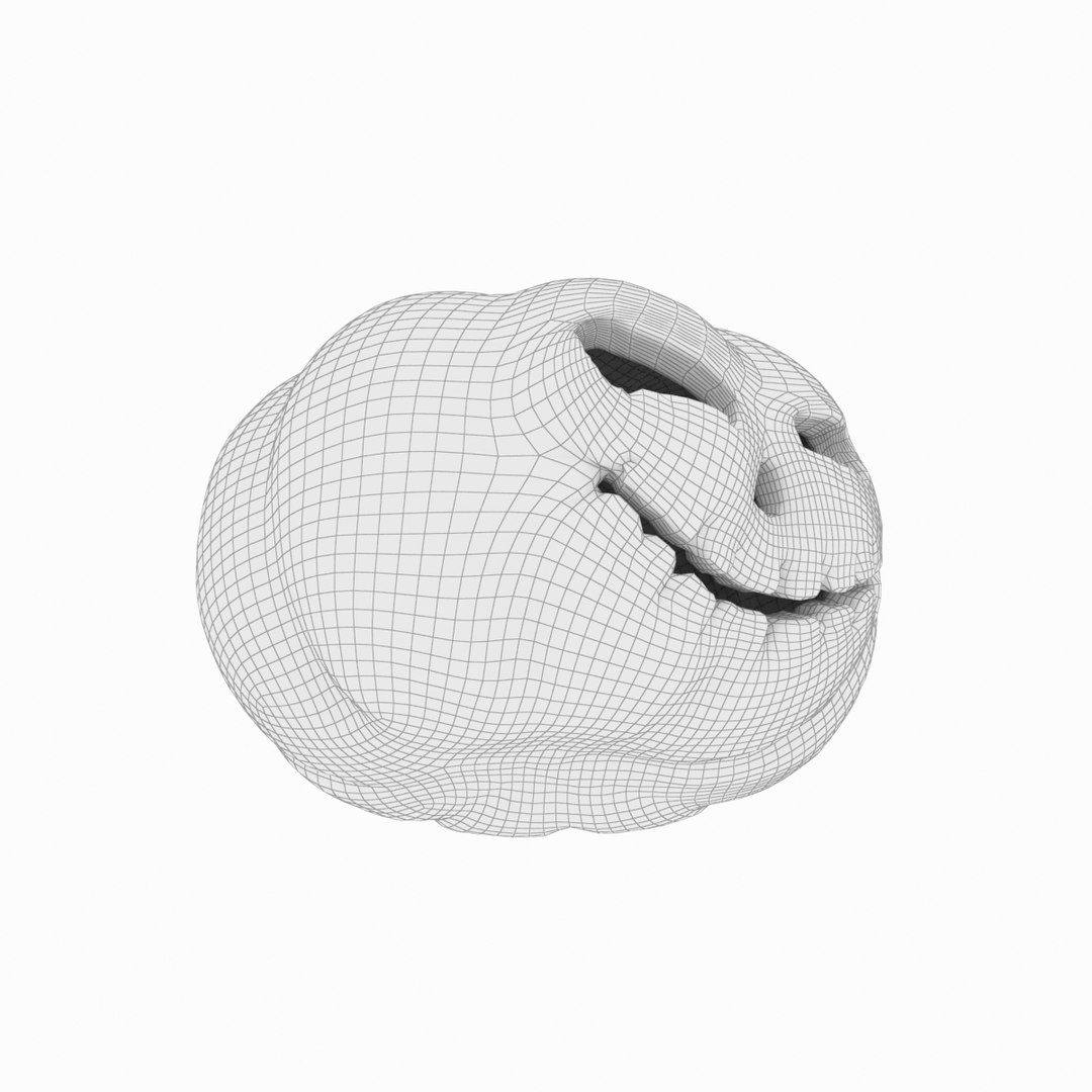 3D Halloween Pumpkin O Model - TurboSquid 1205393