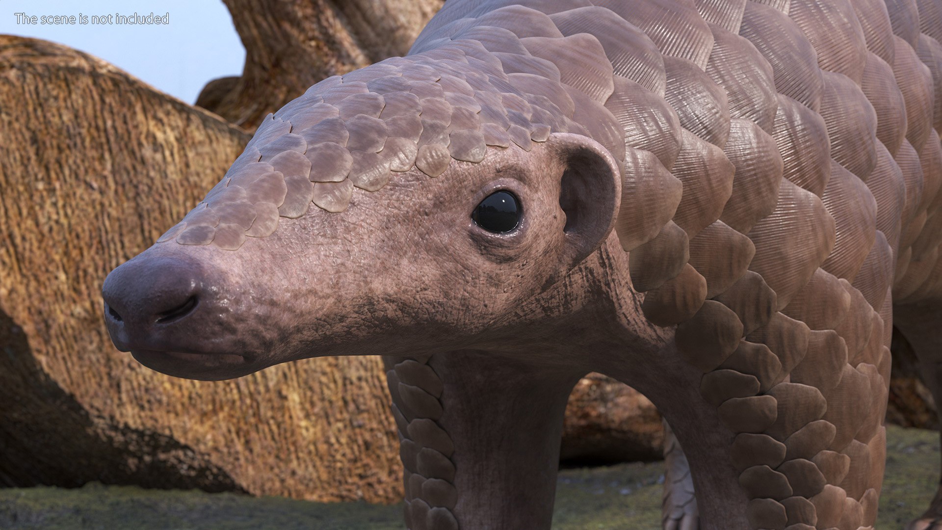 Pangolin 3D Model - TurboSquid 2218498