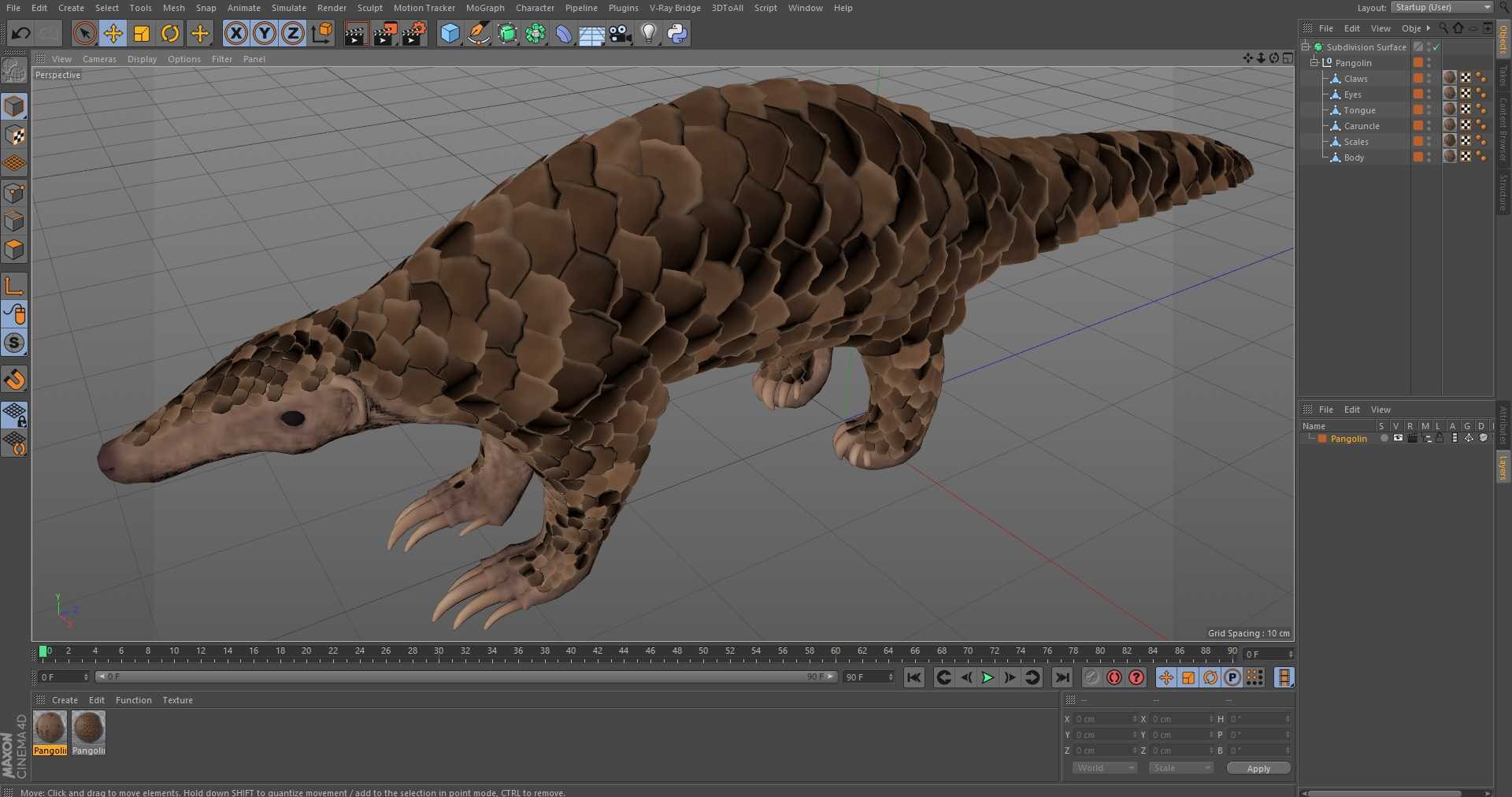 Pangolin 3D Model - TurboSquid 2218498