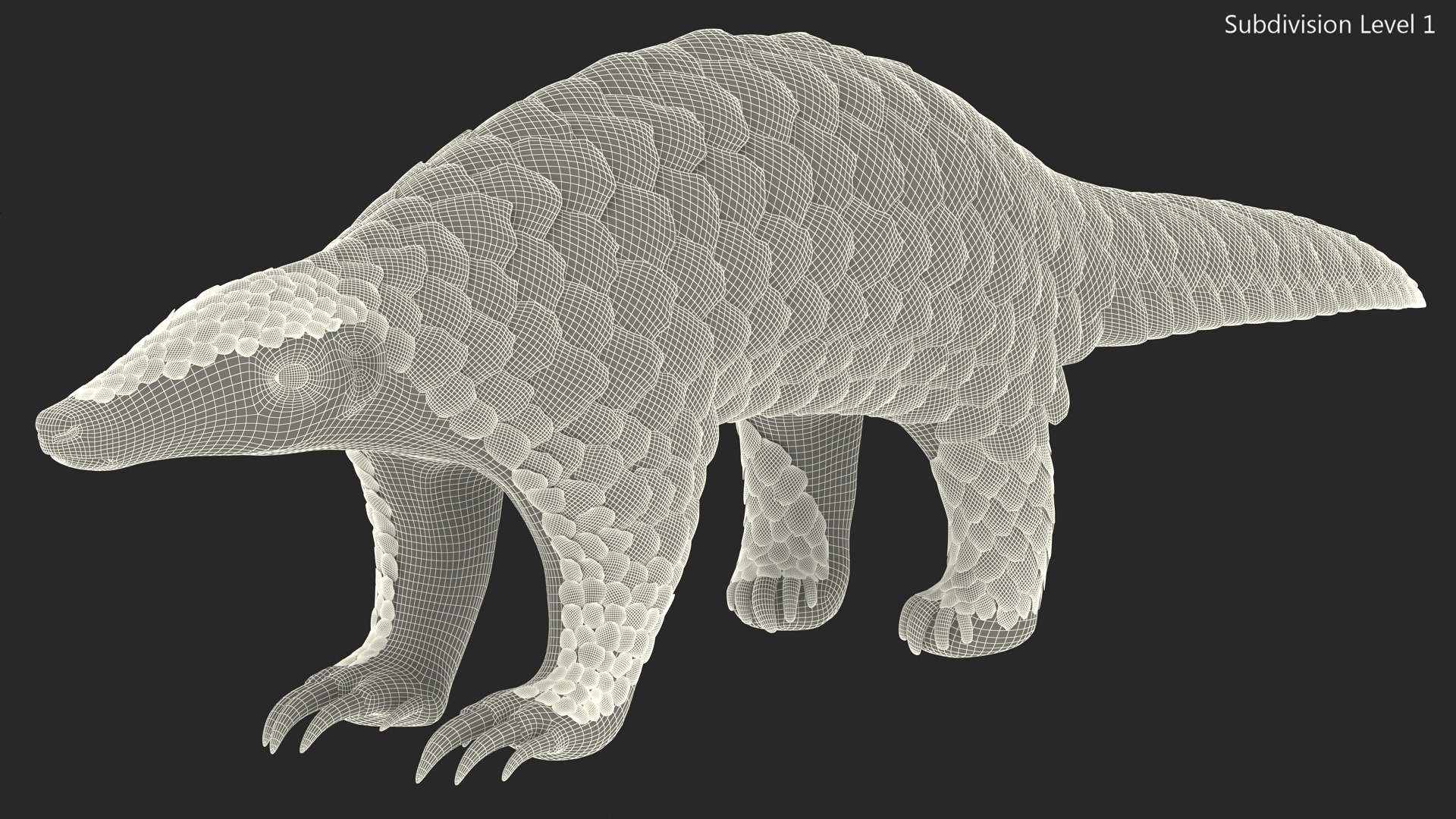 Pangolin 3D Model - TurboSquid 2218498
