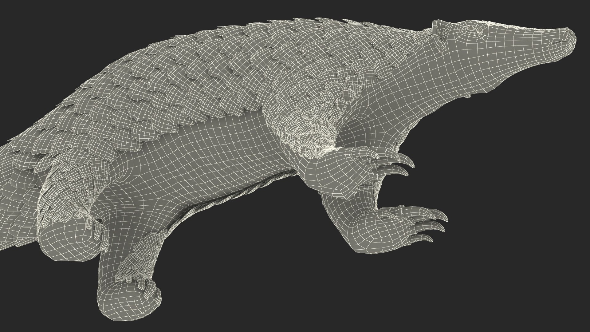 Pangolin 3D Model - TurboSquid 2218498