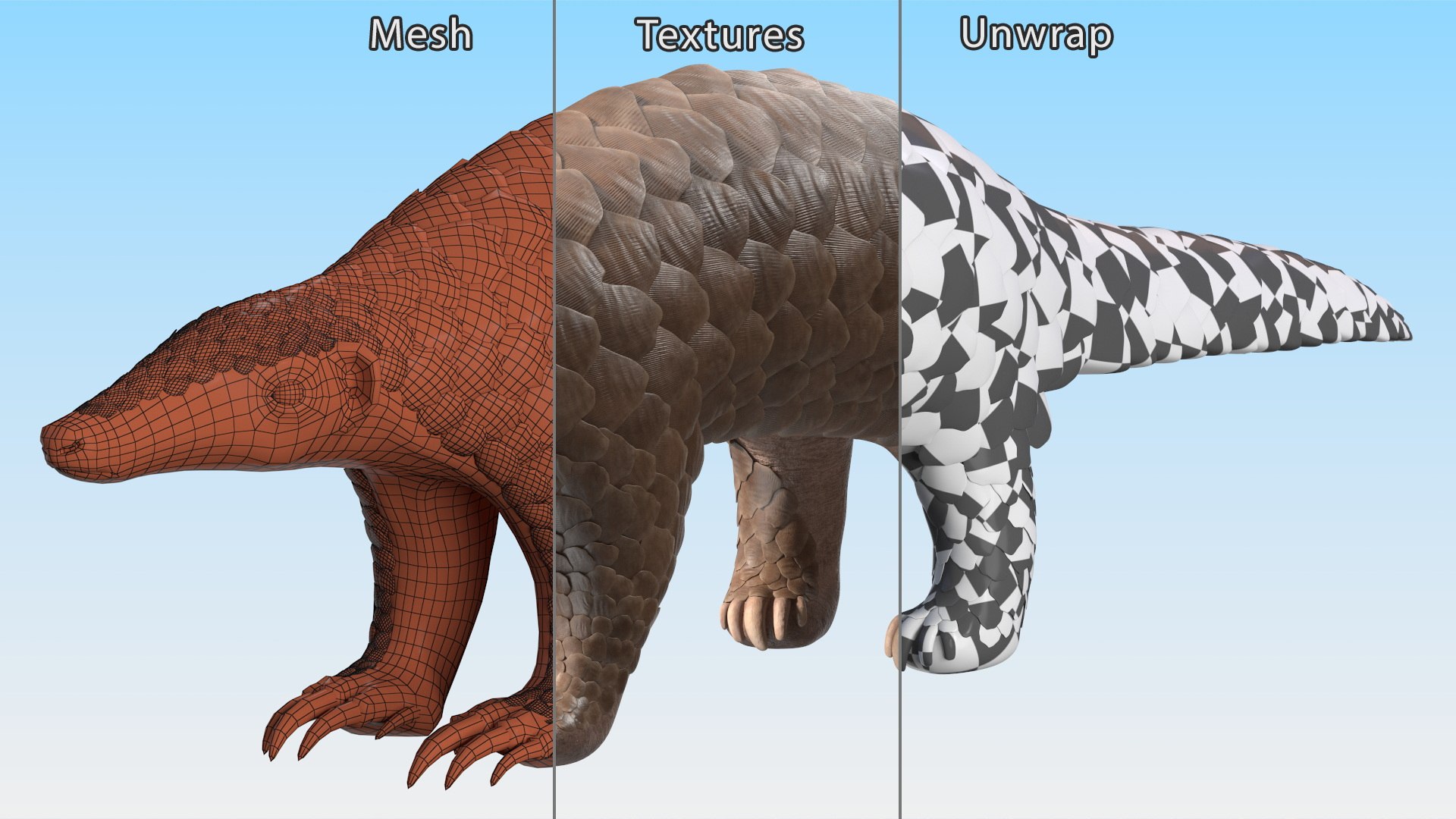 Pangolin 3D Model - TurboSquid 2218498