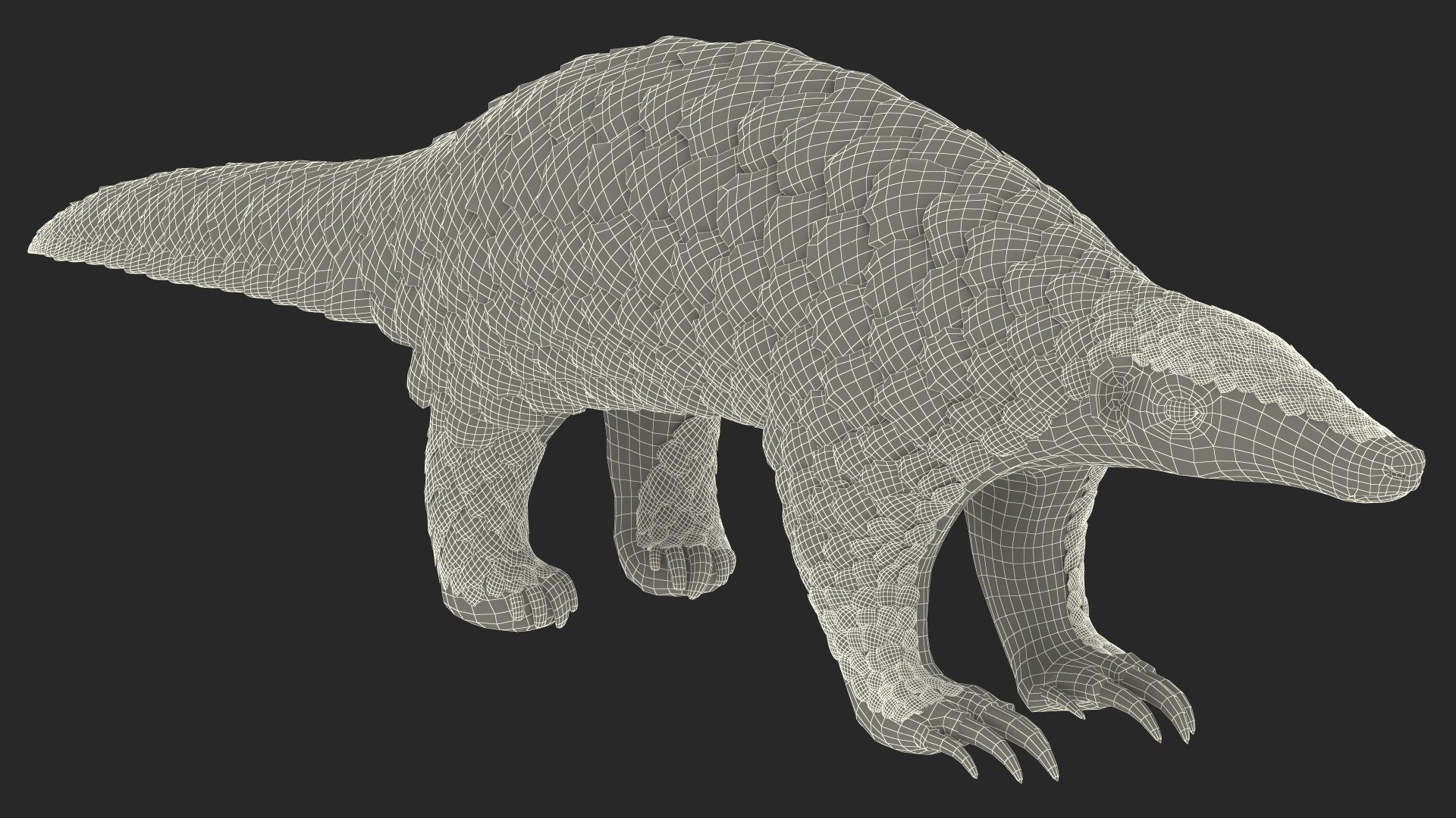 Pangolin 3D Model - TurboSquid 2218498