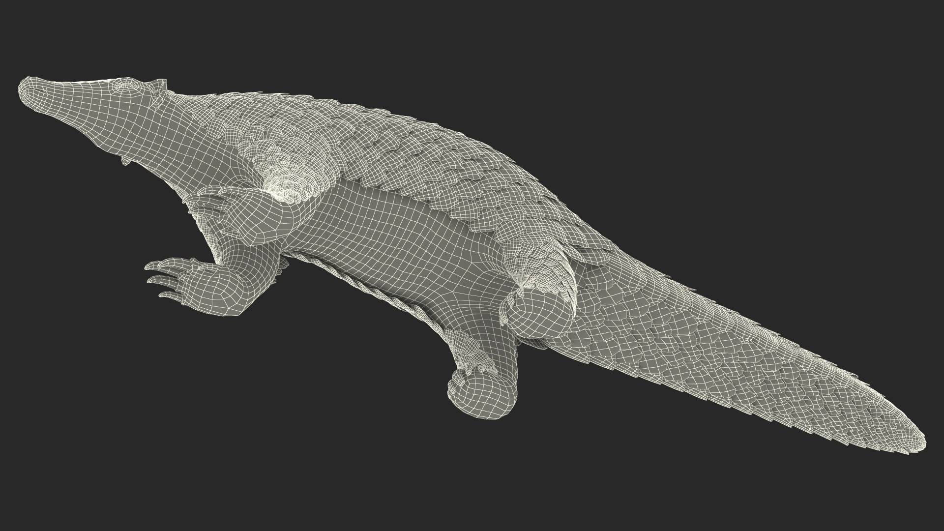 Pangolin 3D Model - TurboSquid 2218498