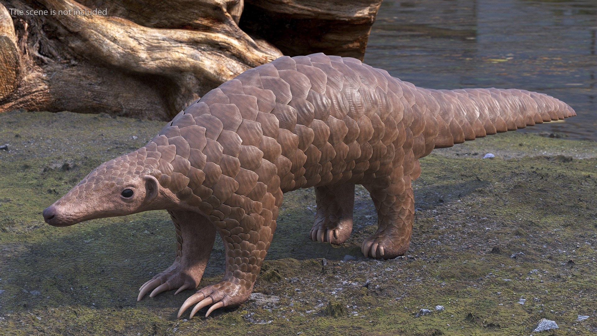 Pangolin 3D Model - TurboSquid 2218498