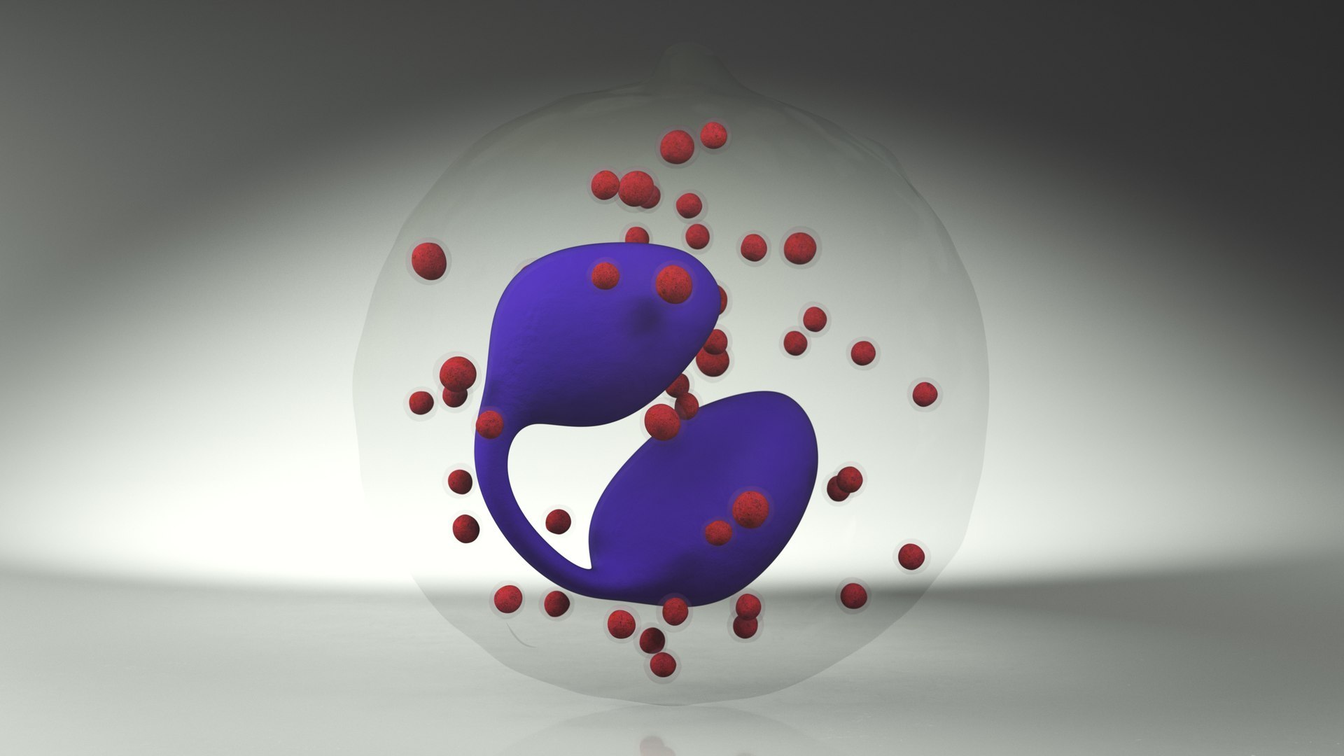 Blood Cells Collection 3 Model - TurboSquid 2196842