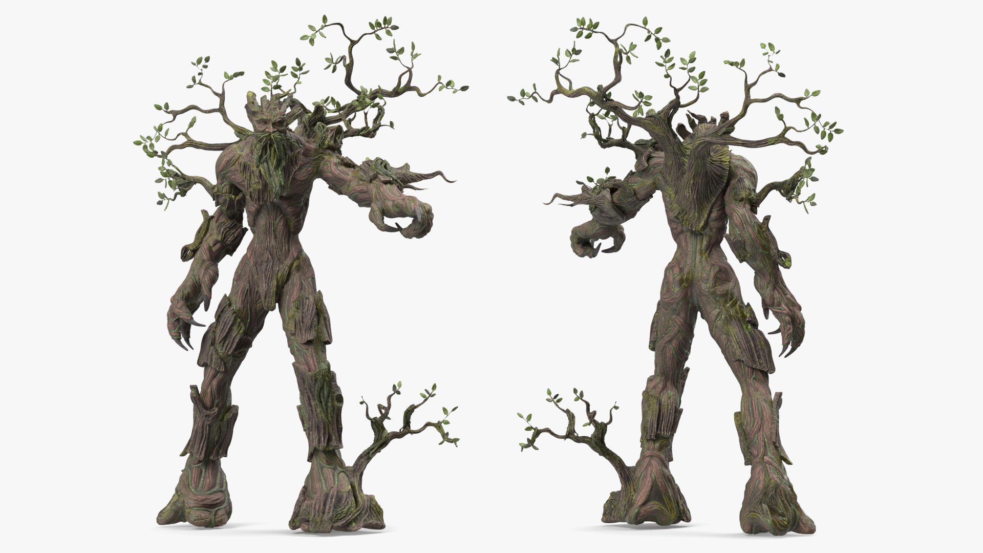 3D Tree Ent Pointing Pose - TurboSquid 2177838