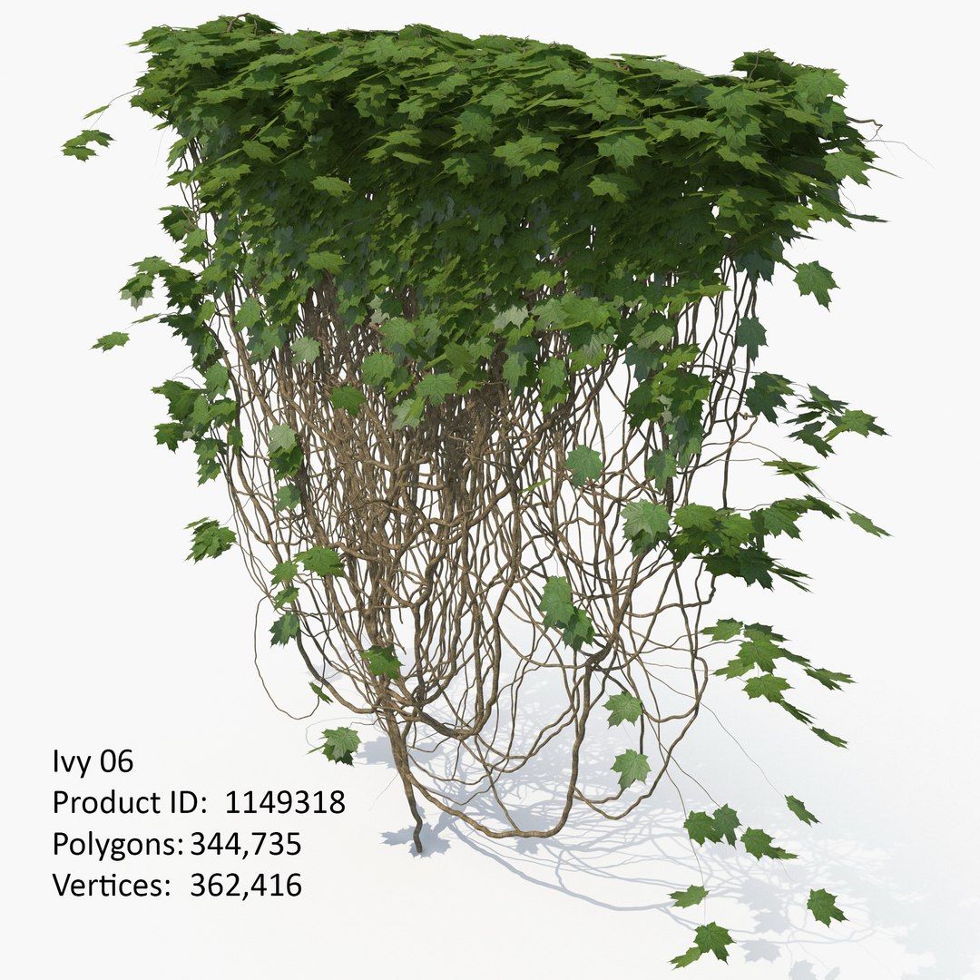 Realistic Ivy 3D - TurboSquid 1233567