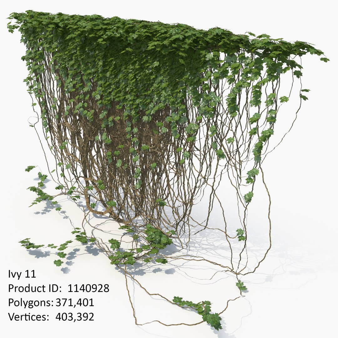 Realistic Ivy 3D - TurboSquid 1233567