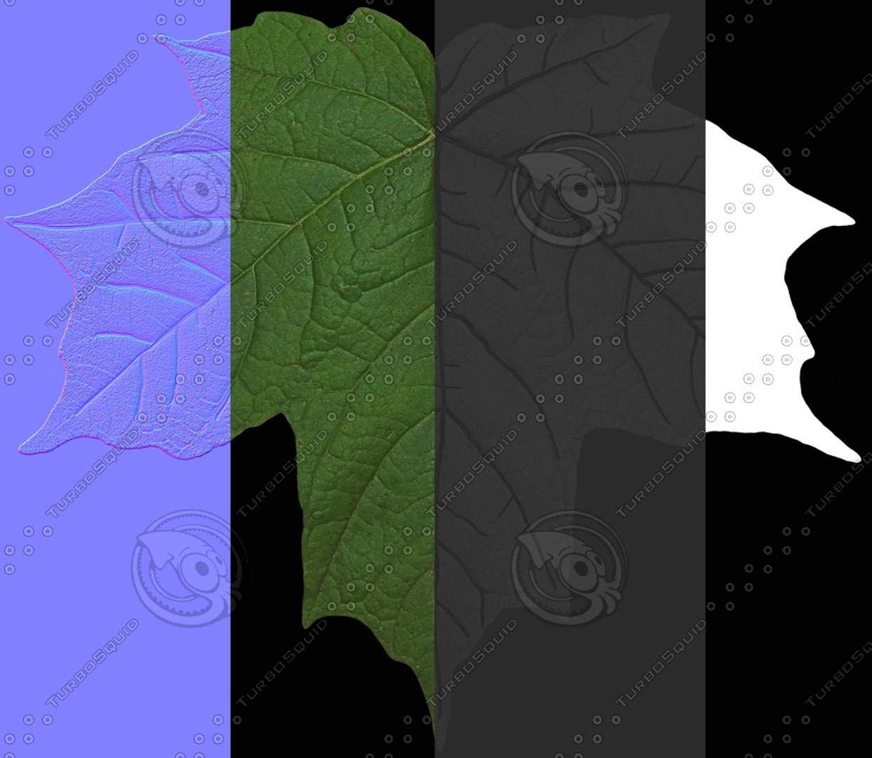 Realistic Ivy 3D - TurboSquid 1233567