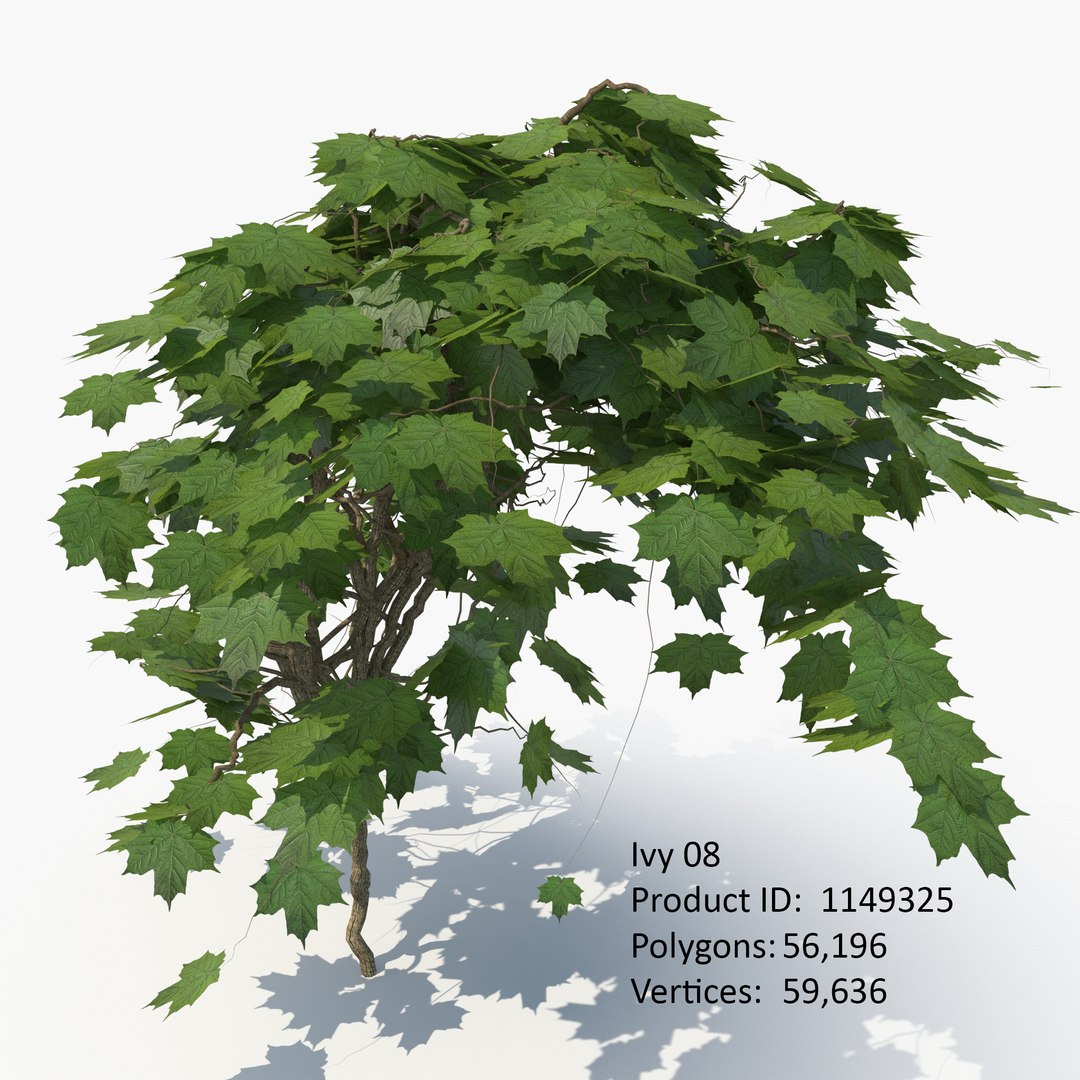 Realistic Ivy 3D - TurboSquid 1233567