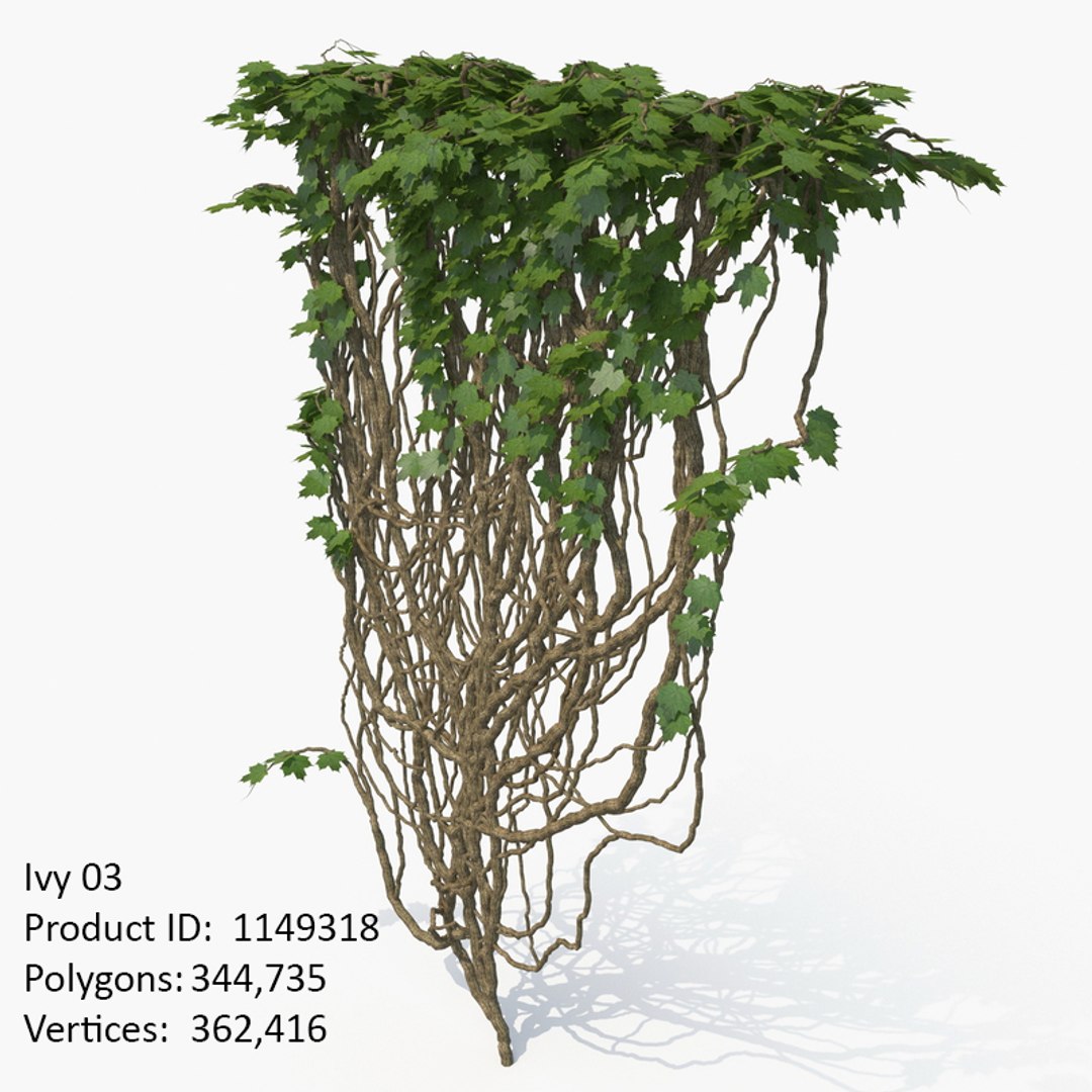 Realistic Ivy 3D - TurboSquid 1233567