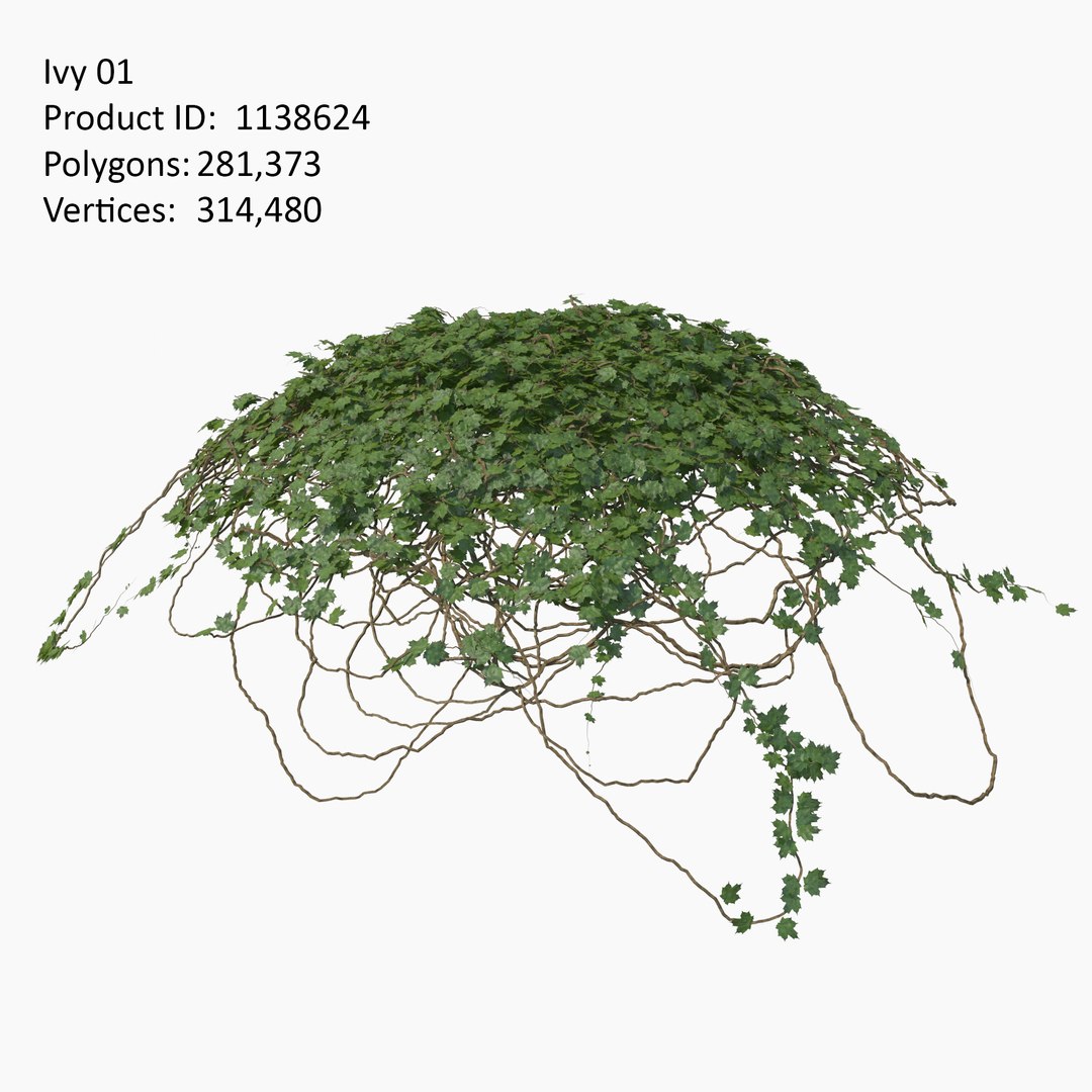 Realistic Ivy 3D - TurboSquid 1233567