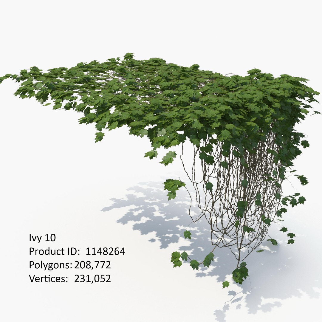 Realistic Ivy 3D - TurboSquid 1233567