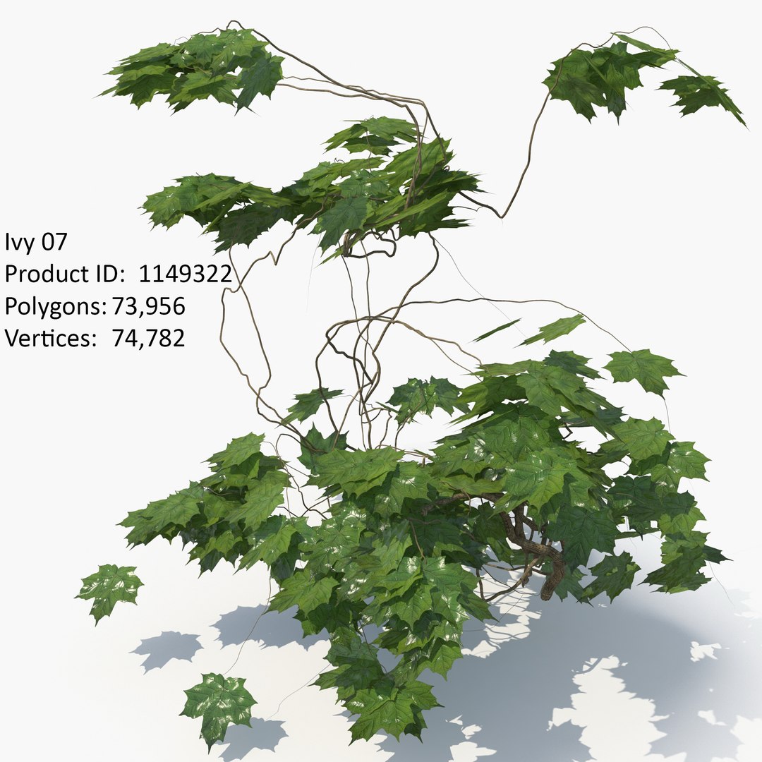 Realistic Ivy 3D - TurboSquid 1233567