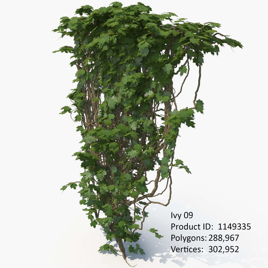Realistic Ivy 3D - TurboSquid 1233567