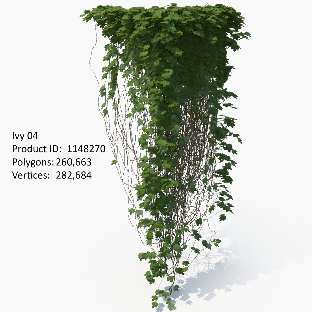 Realistic Ivy 3D - TurboSquid 1233567