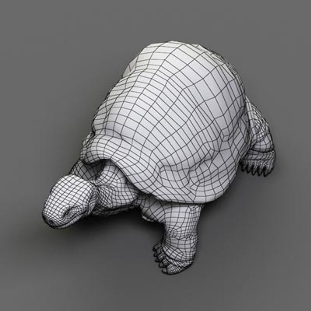 rare turtle 3d model