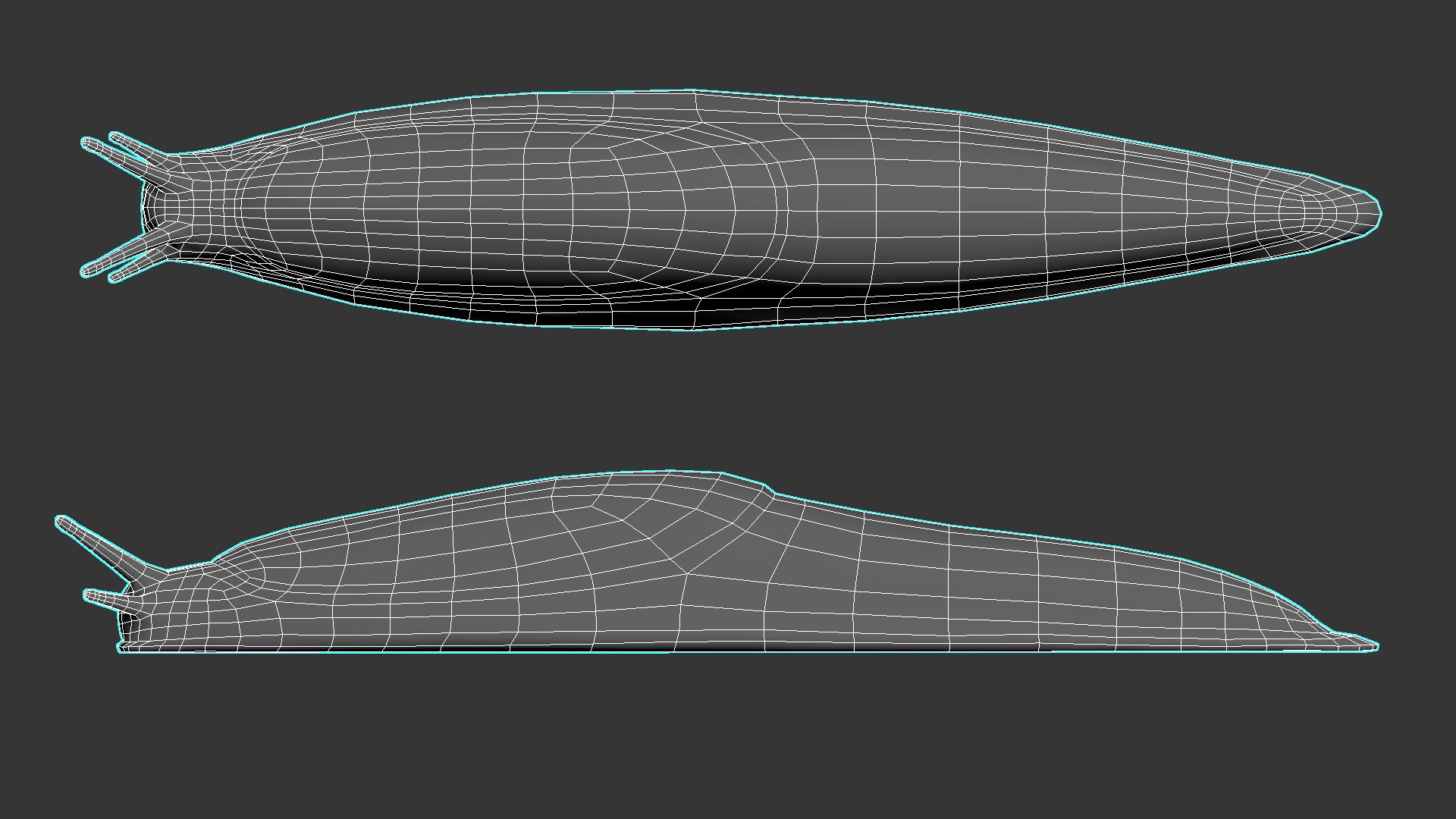 Black Slug 3D model - TurboSquid 2044295