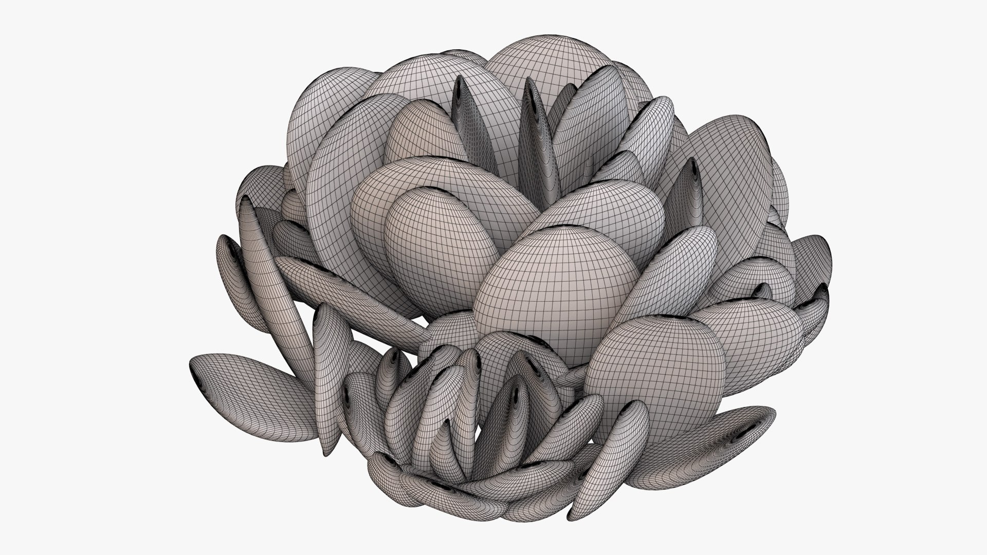 3D Model Succulent Pig S Ear - TurboSquid 1453714