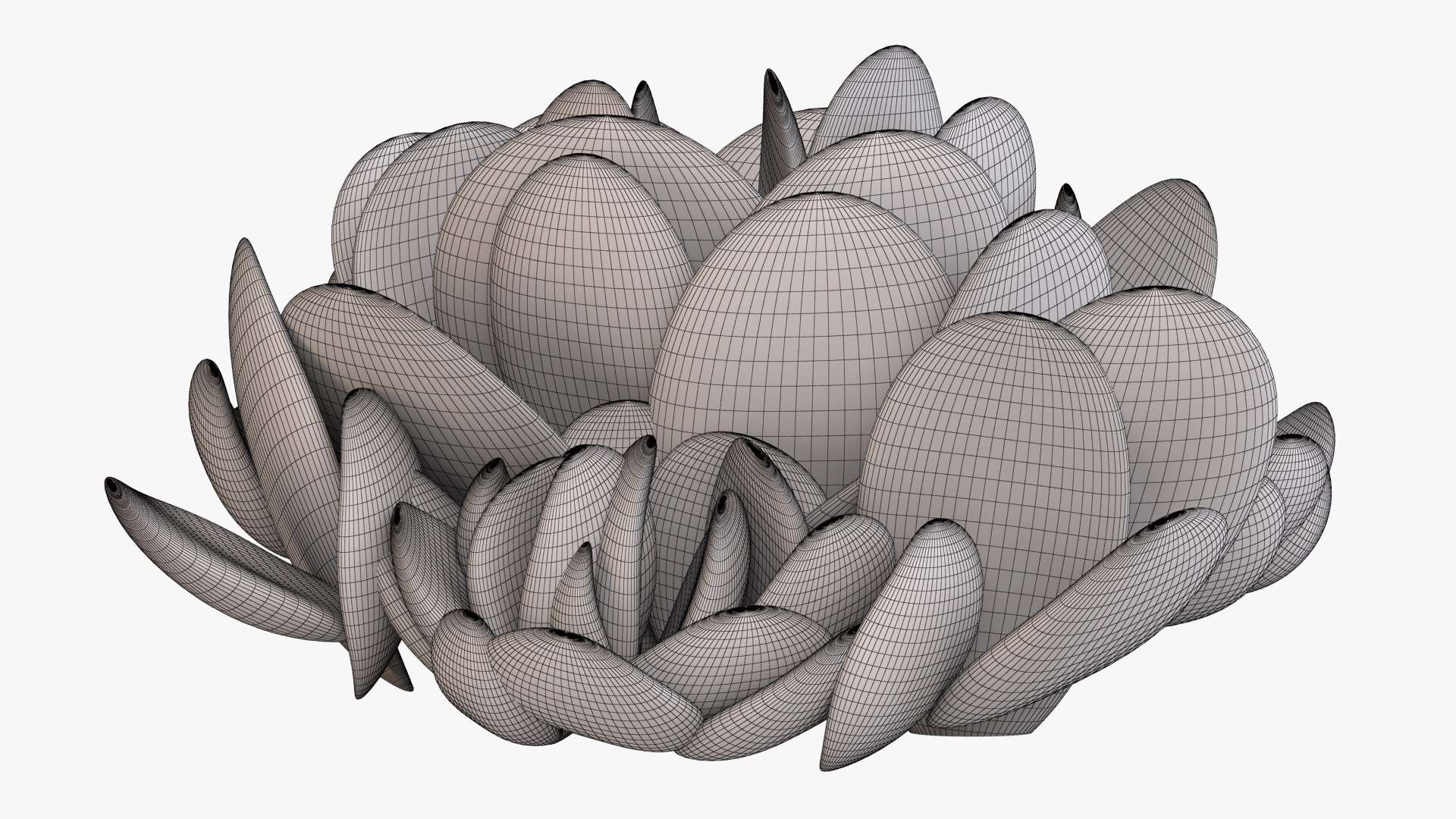 3D Model Succulent Pig S Ear - TurboSquid 1453714