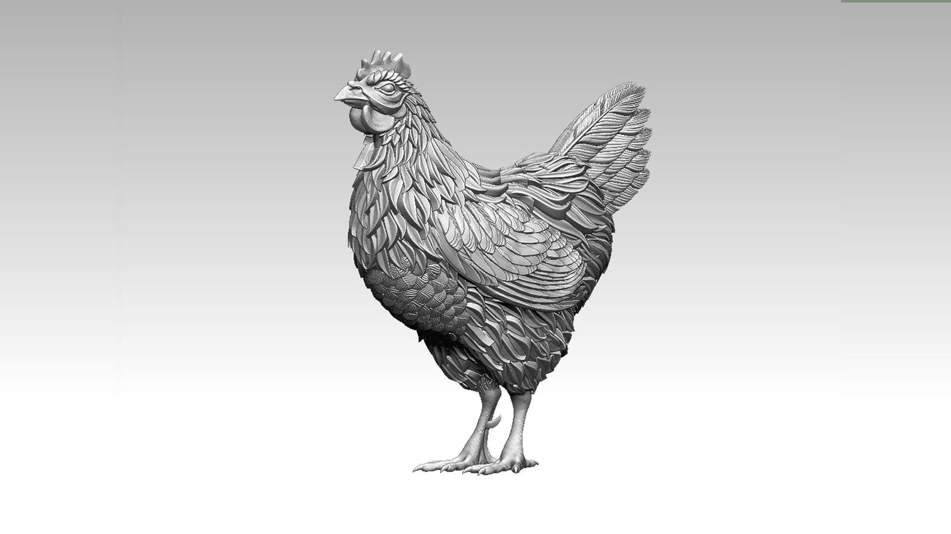 Hen 3D Model - TurboSquid 2120479