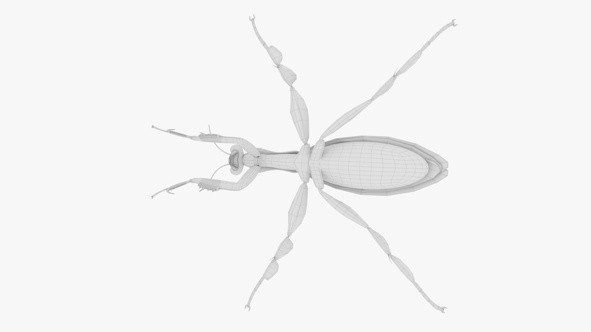 Praying Mantis Model - TurboSquid 1664810