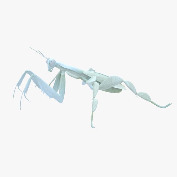 3D scarab beetle - TurboSquid 1288254