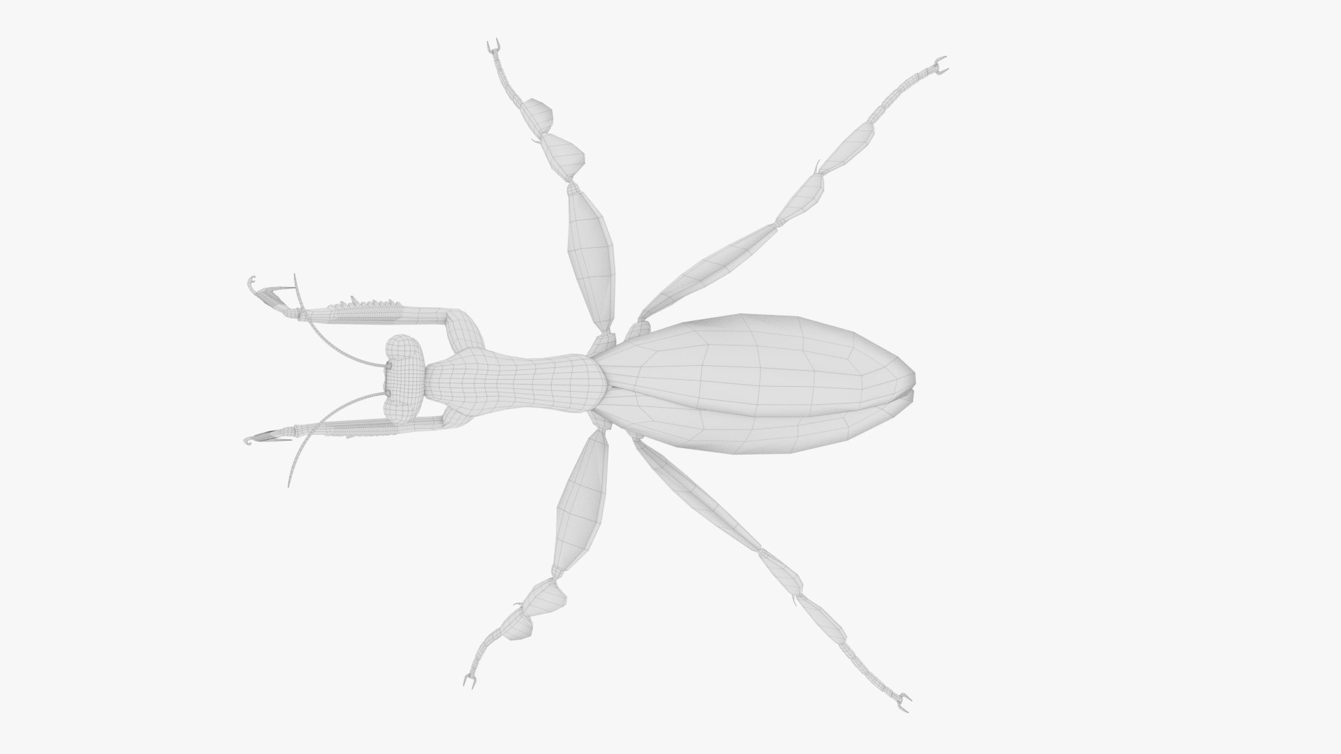 Praying Mantis Model - TurboSquid 1664810