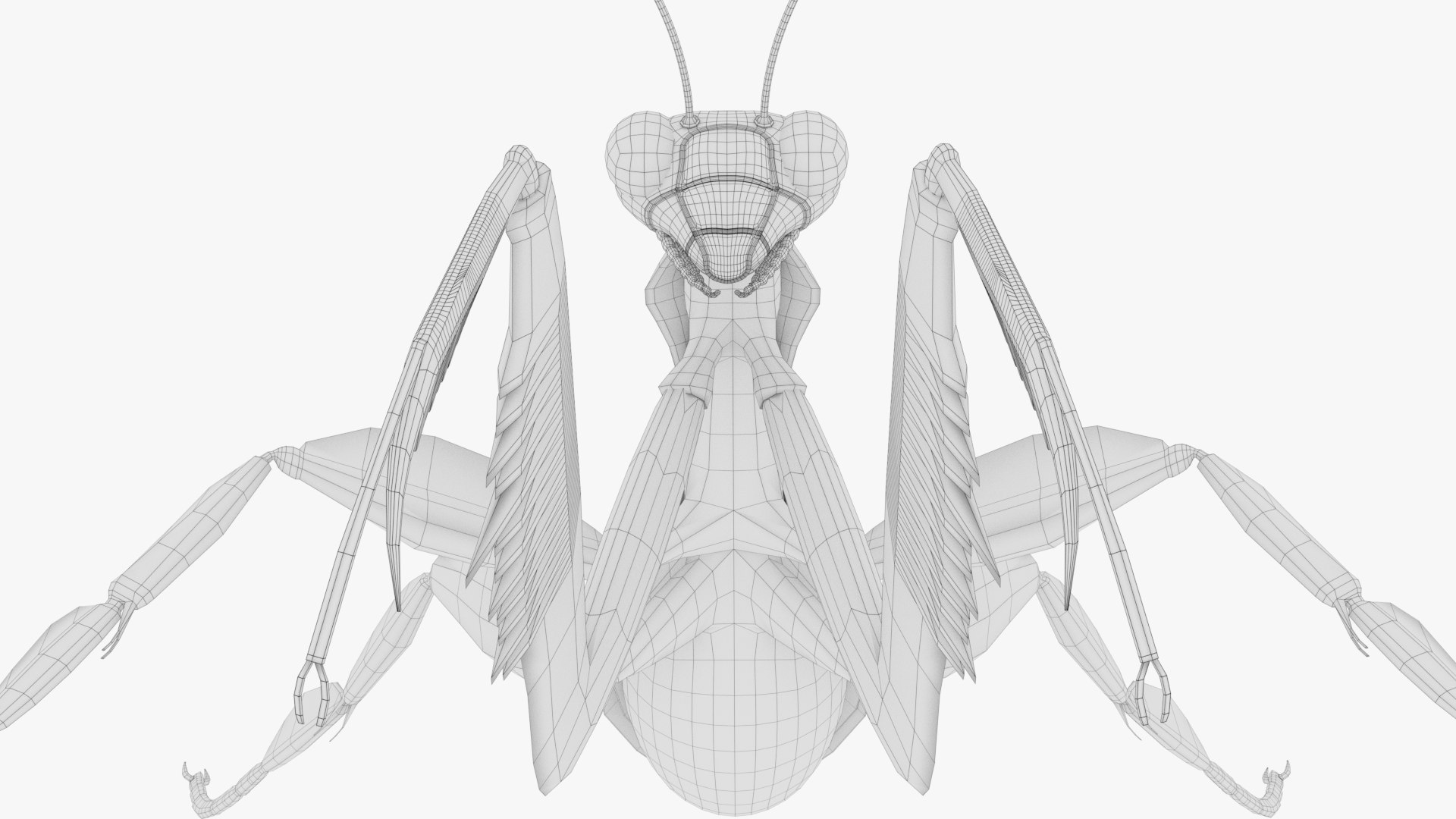 Praying Mantis Model - TurboSquid 1664810