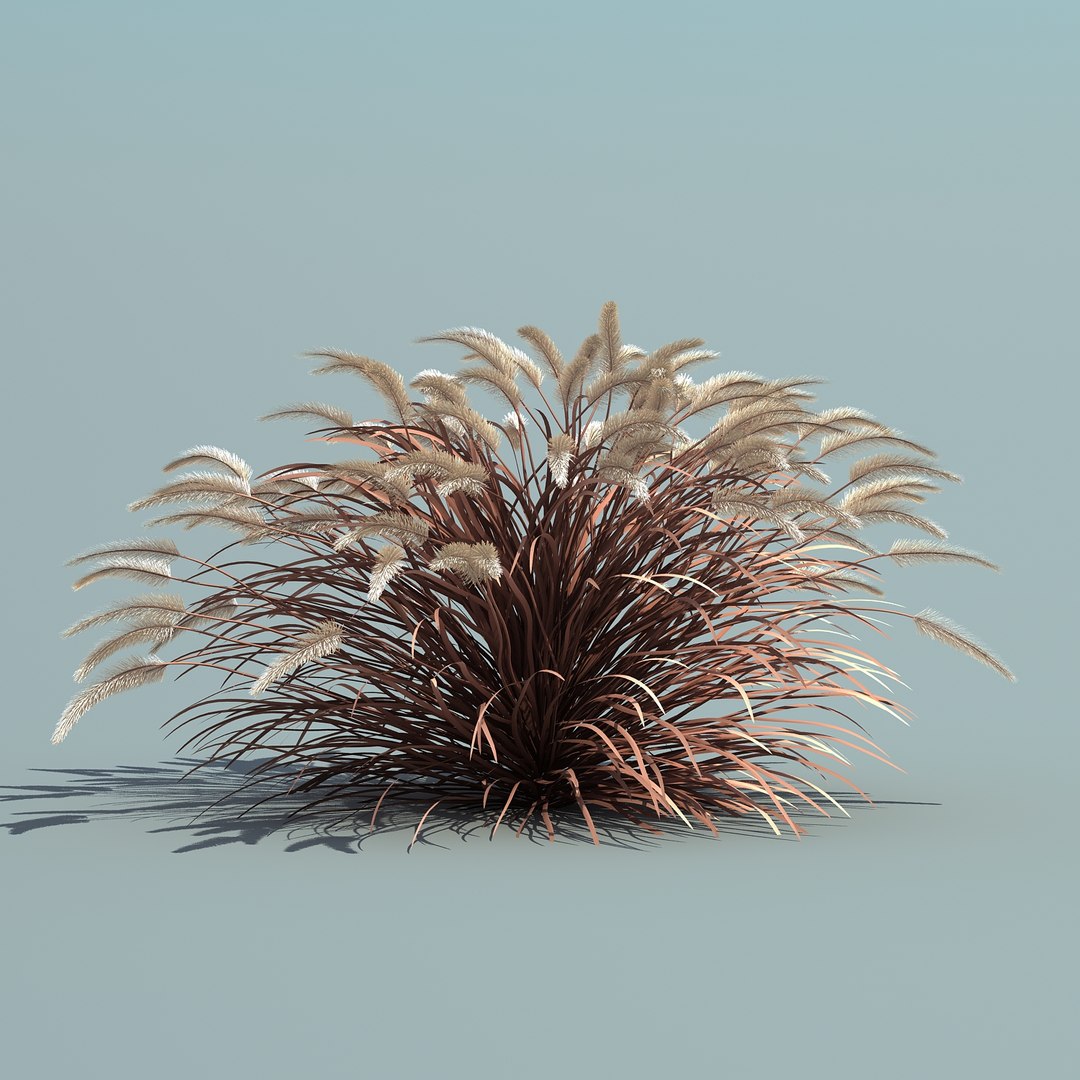 3D Grass Purple Fountain Model - TurboSquid 1191316