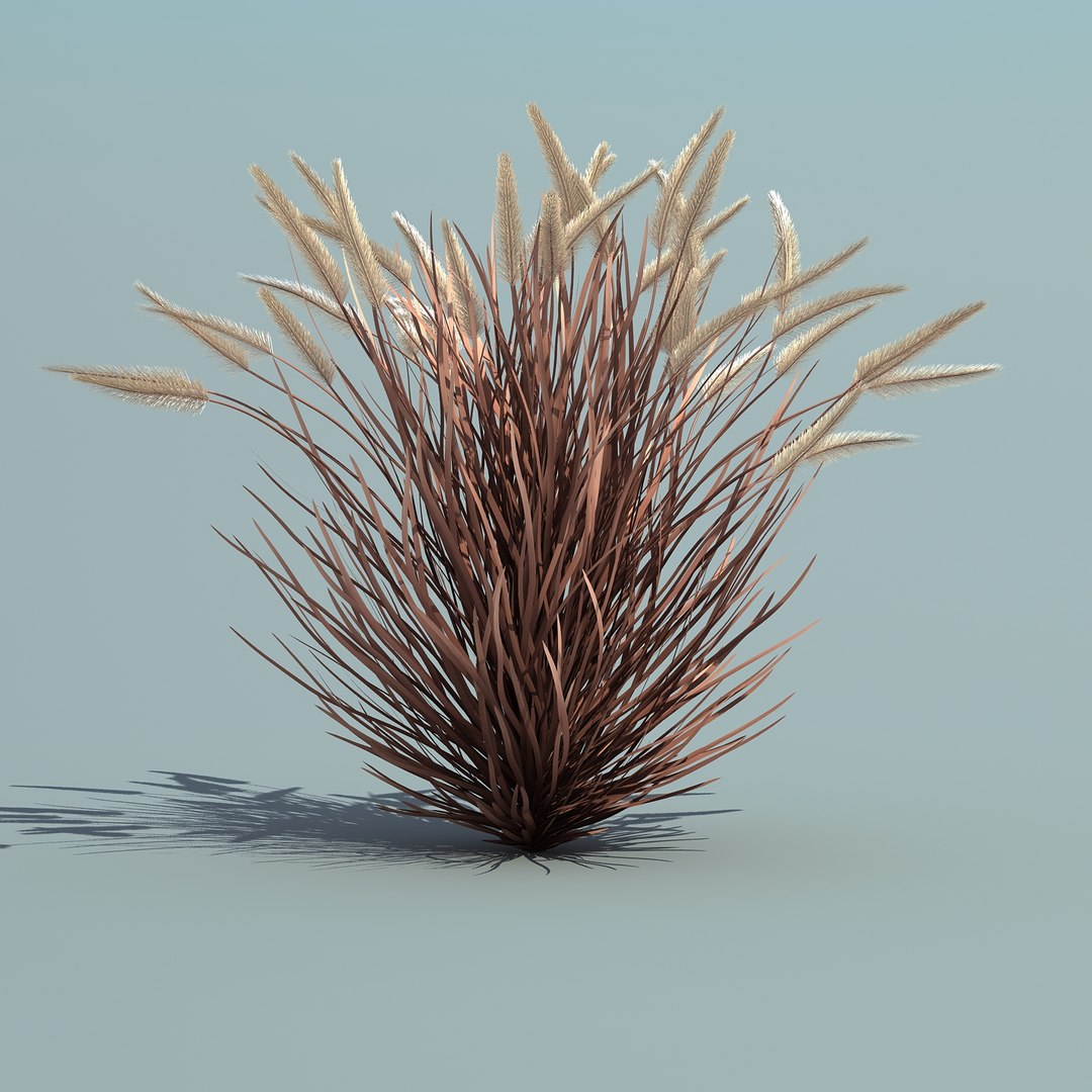 3D Grass Purple Fountain Model - TurboSquid 1191316