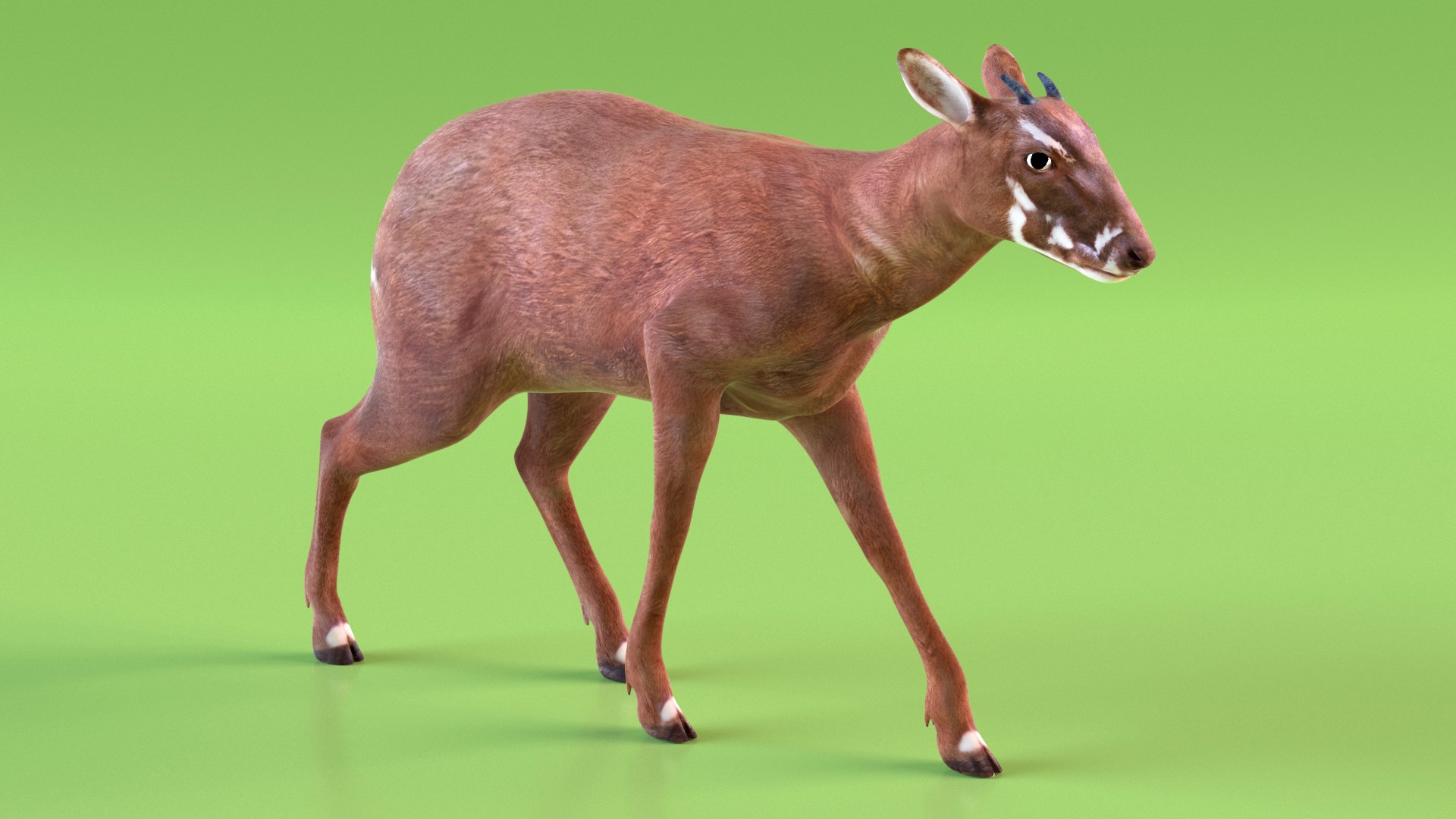 3D Saola Walking - TurboSquid 2202798