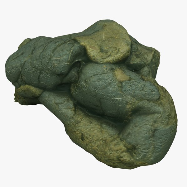Feces 3D Models for Download | TurboSquid