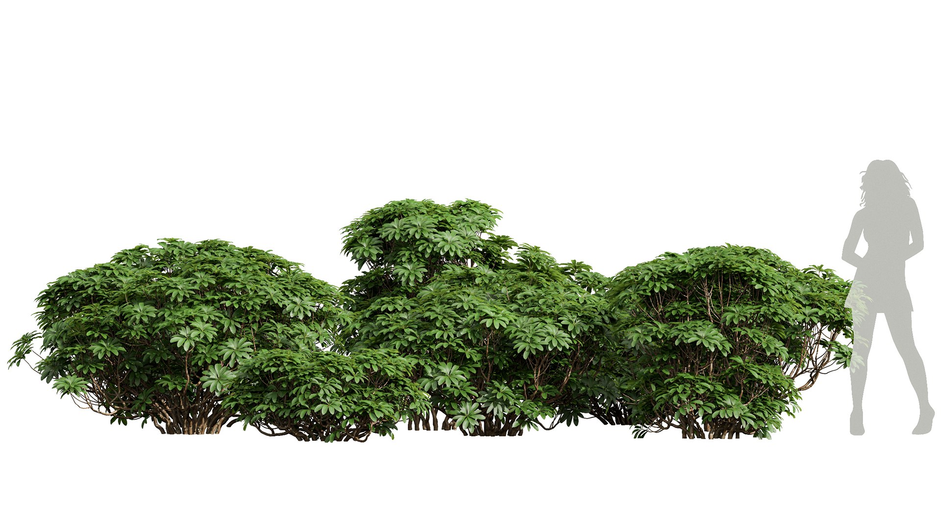 Different SETS Of Bush Set Vol 26 3D Model - TurboSquid 2186748