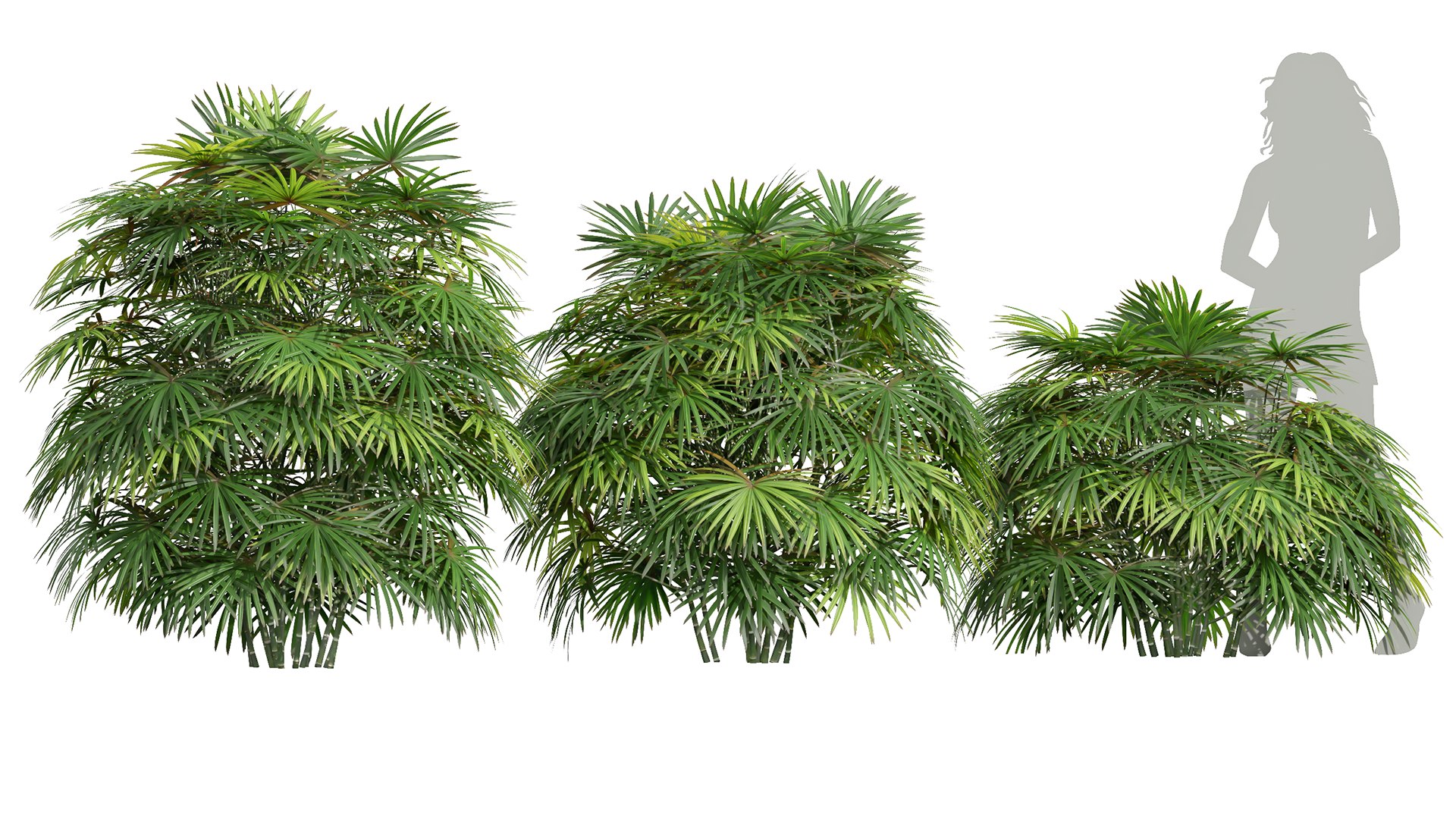 Different SETS Of Bush Set Vol 26 3D Model - TurboSquid 2186748