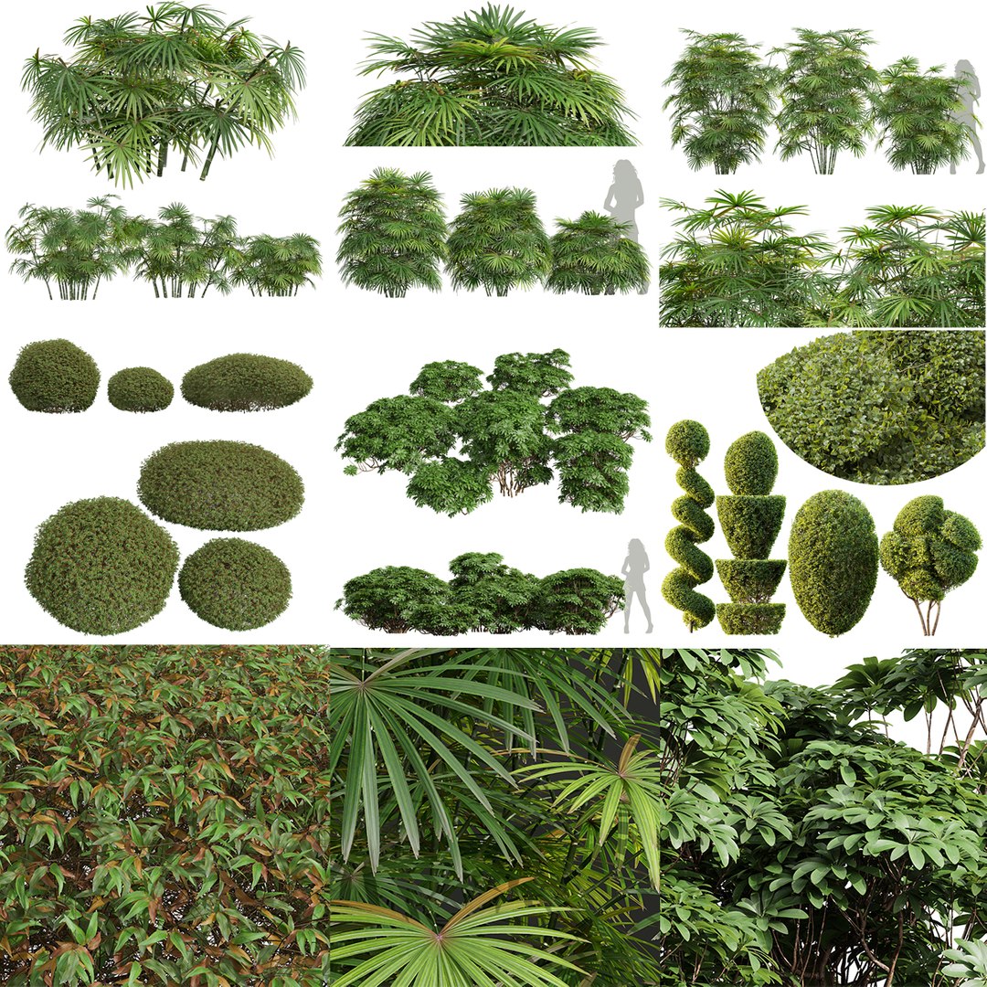 Different SETS Of Bush Set Vol 26 3D Model - TurboSquid 2186748
